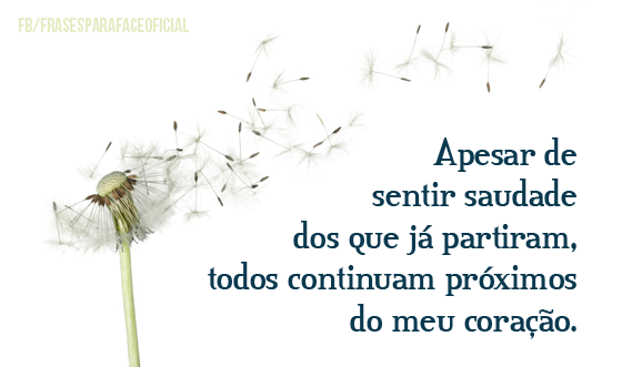 Apesar de sentir saudade dos que já partiram,... - FrasesTop