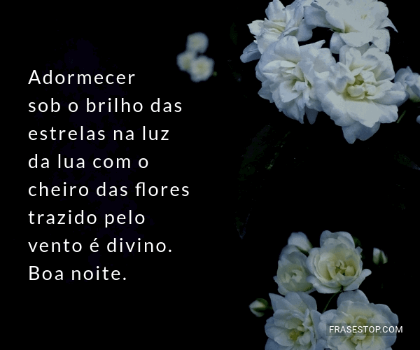 Adormecer Sob O Brilho Das Estrelas Na Luz Da Lua Frasestop