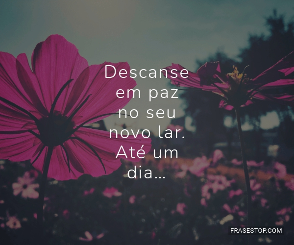 Descanse em paz no seu novo lar. Até um dia… - FrasesTop